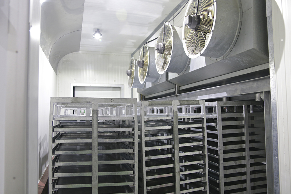 Services – Crystal Storage